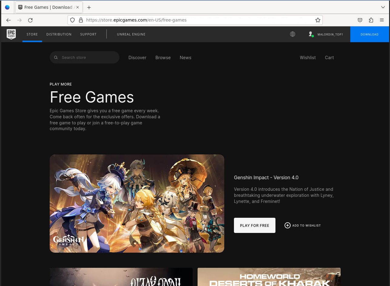 When trying to log in to Epic Game Launcher via Google, an error occurs ...