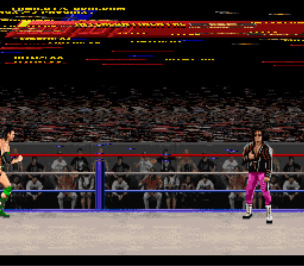 WWF WrestleMania - The Arcade Game - Screen stays black when gameplay starts + bad flickering ...
