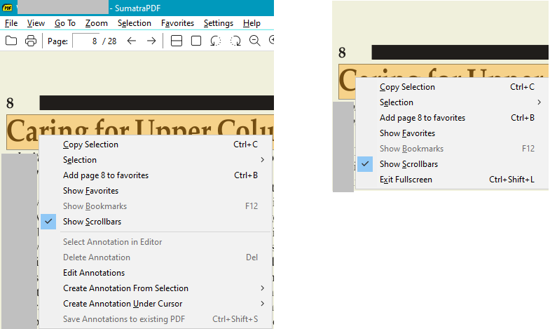 Adding annotations not available from right-click when fullscreen · Issue #2779 ...