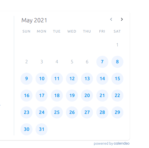 Calendar UI Bug · Issue #168 · calcom/cal.com · GitHub