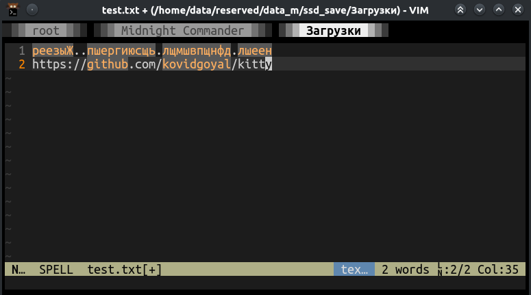 Kitty replaces English characters with the same Russian ones on the same key · Issue #12221 ...