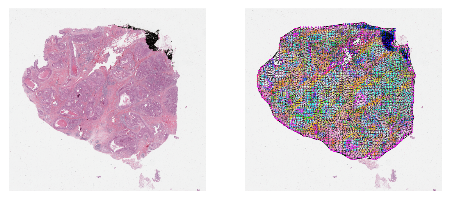 Issues with reproducing the result in examples/inference-pipelines/slide-graph.ipynb · Issue ...
