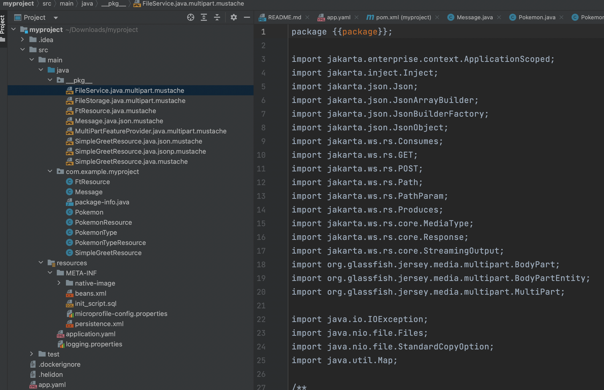 Redundant _pkg_ folder with mustache files generated in CLI and Starter · Issue #4645 · helidon ...