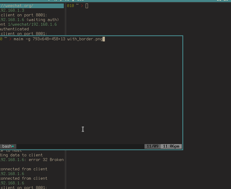 Hiding window borders · Issue #1337 · baskerville/bspwm · GitHub