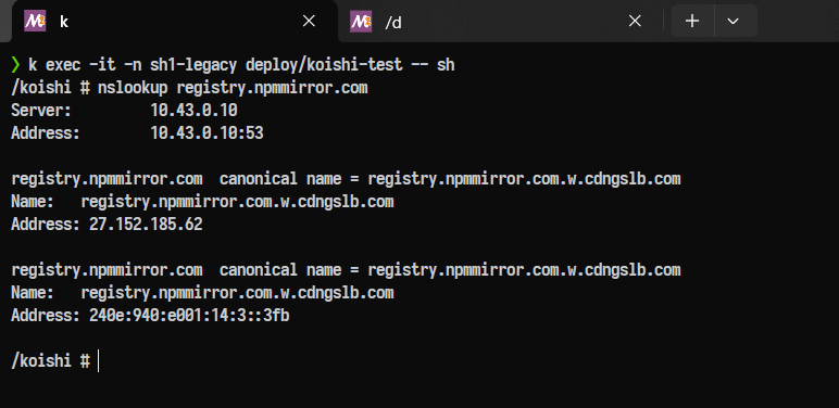Bug: 在k8s中运行时无法解析域名 · Issue #1162 · koishijs/koishi · GitHub