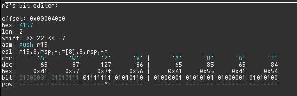 Implement visual bit editor for a data in address · Issue #1624 · rizinorg/cutter · GitHub