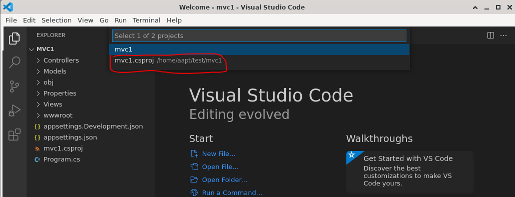 VS Code: Open Views/Shared/_Layout.cshtml and type " @da ", error info is no appear in PROBLEMS ...