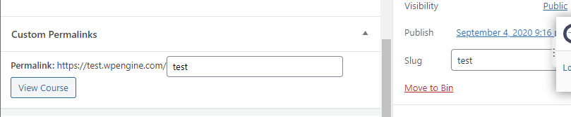 custom permalinks input box missing / disappears · Issue #41 · samiahmedsiddiqui/custom ...