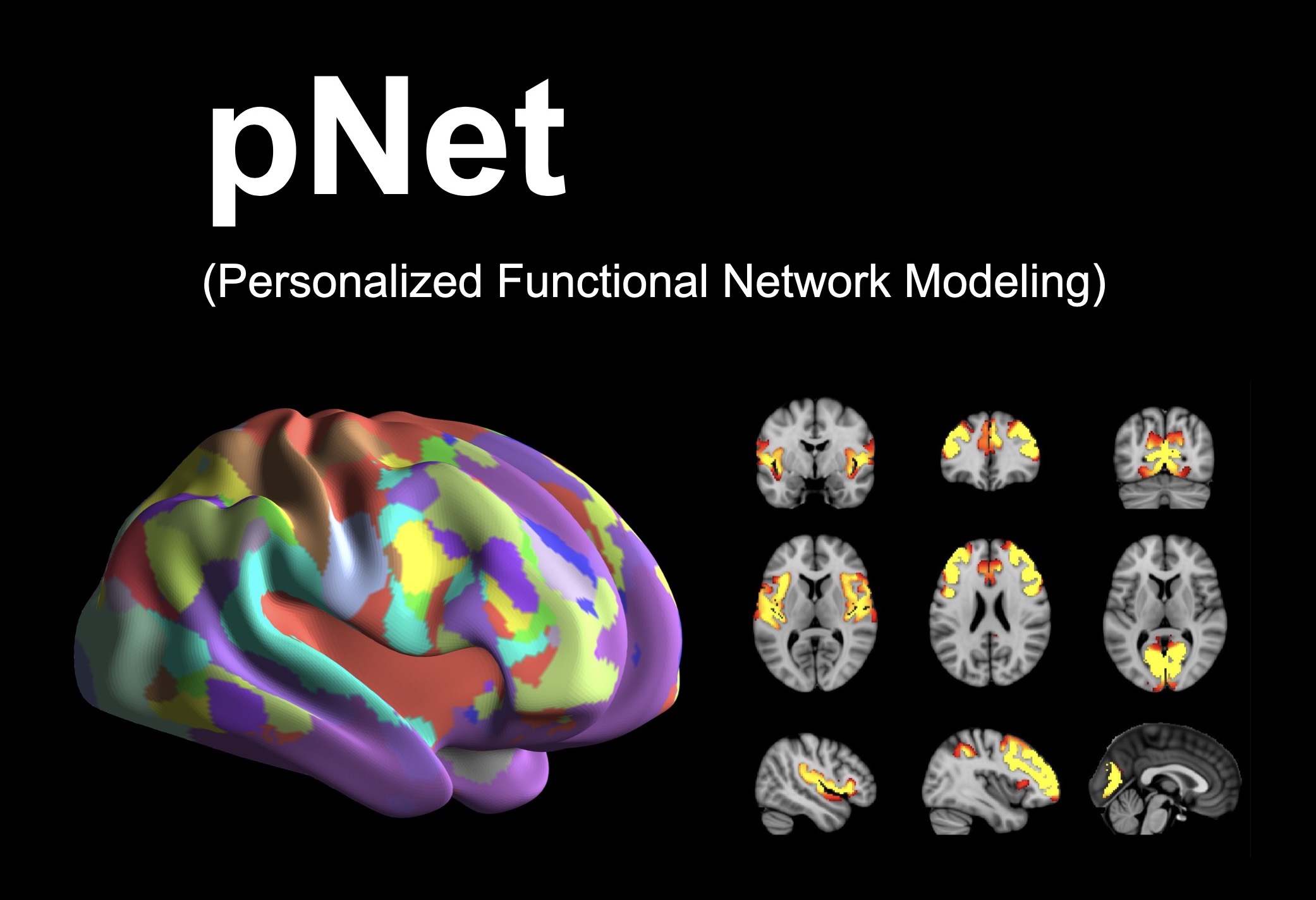 GitHub - MLDataAnalytics/pNet