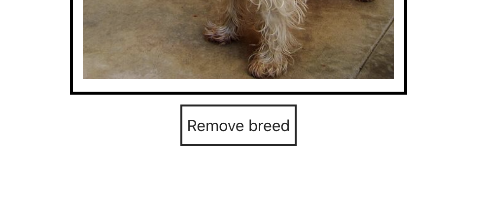 GitHub - ElreyB/favorite-dog-breed