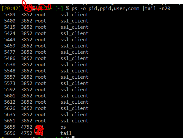 HA spawns ~2 "ssl_client" processes per minute until server resources is exhausted · Issue ...