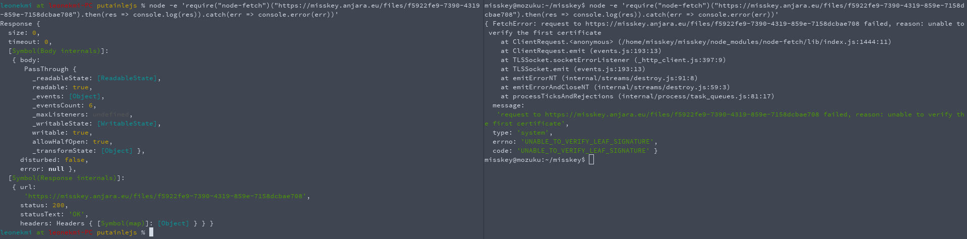 "Error: unable to verify the first certificate" · Issue #4774 · misskey-dev/misskey · GitHub