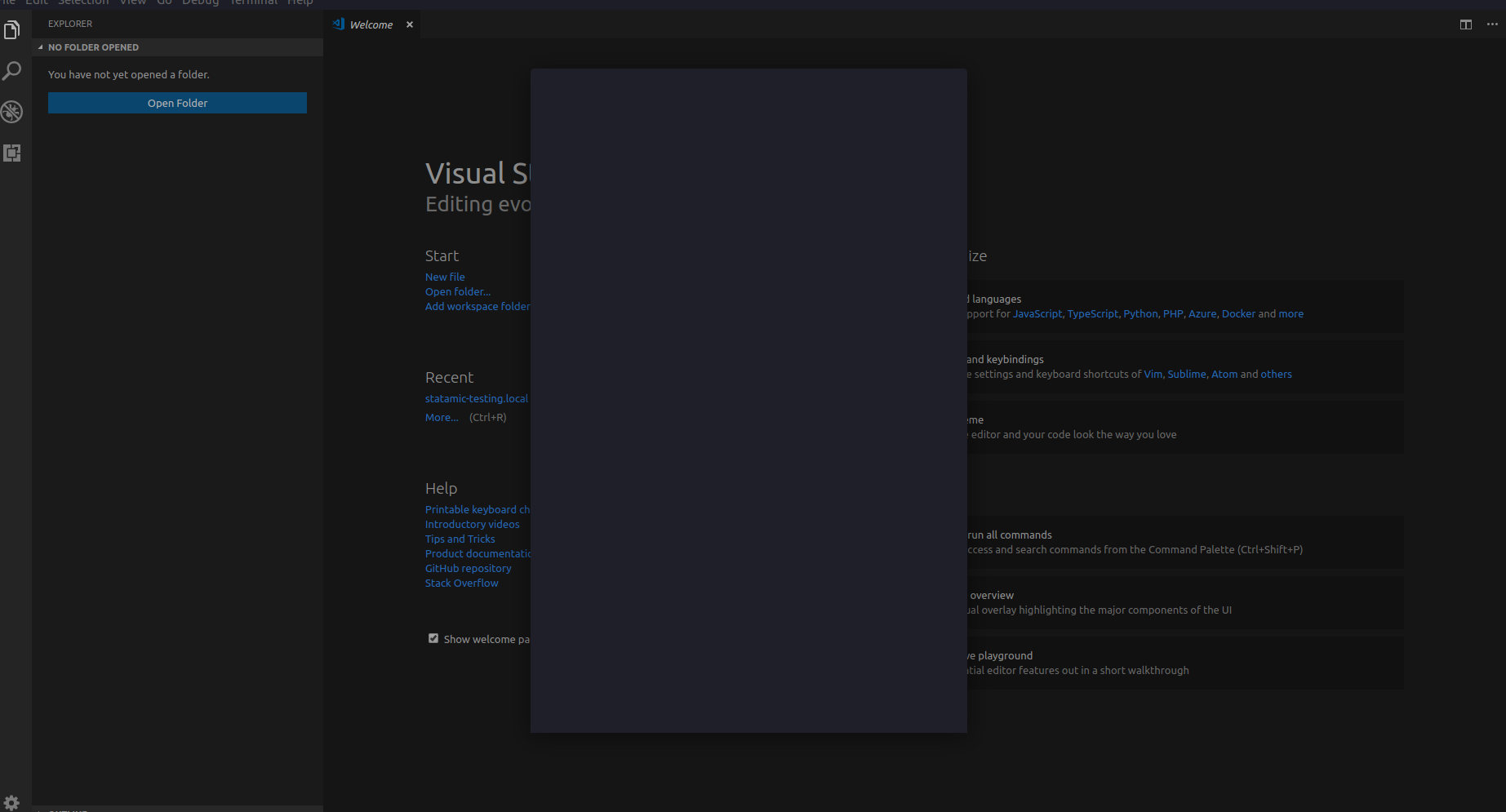 VScode open folder is showing blank window · Issue #15 · dracula/gtk · GitHub