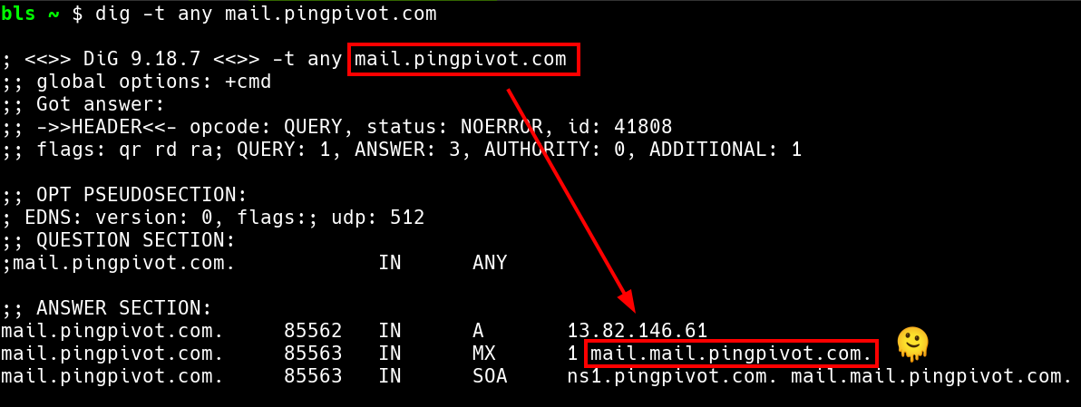Handle malicious / misconfigured DNS records · Issue #192 · blacklanternsecurity/bbot · GitHub