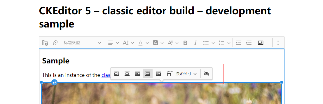 custom popup box select image insert ckeditor5 problem · Issue #9973 · ckeditor/ckeditor5 · GitHub