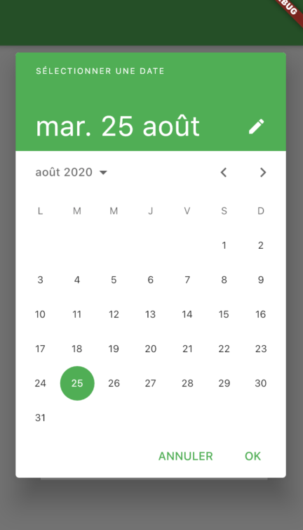 showDatePicker ignore ThemeData.primaryColor · Issue #58493 · flutter/flutter · GitHub