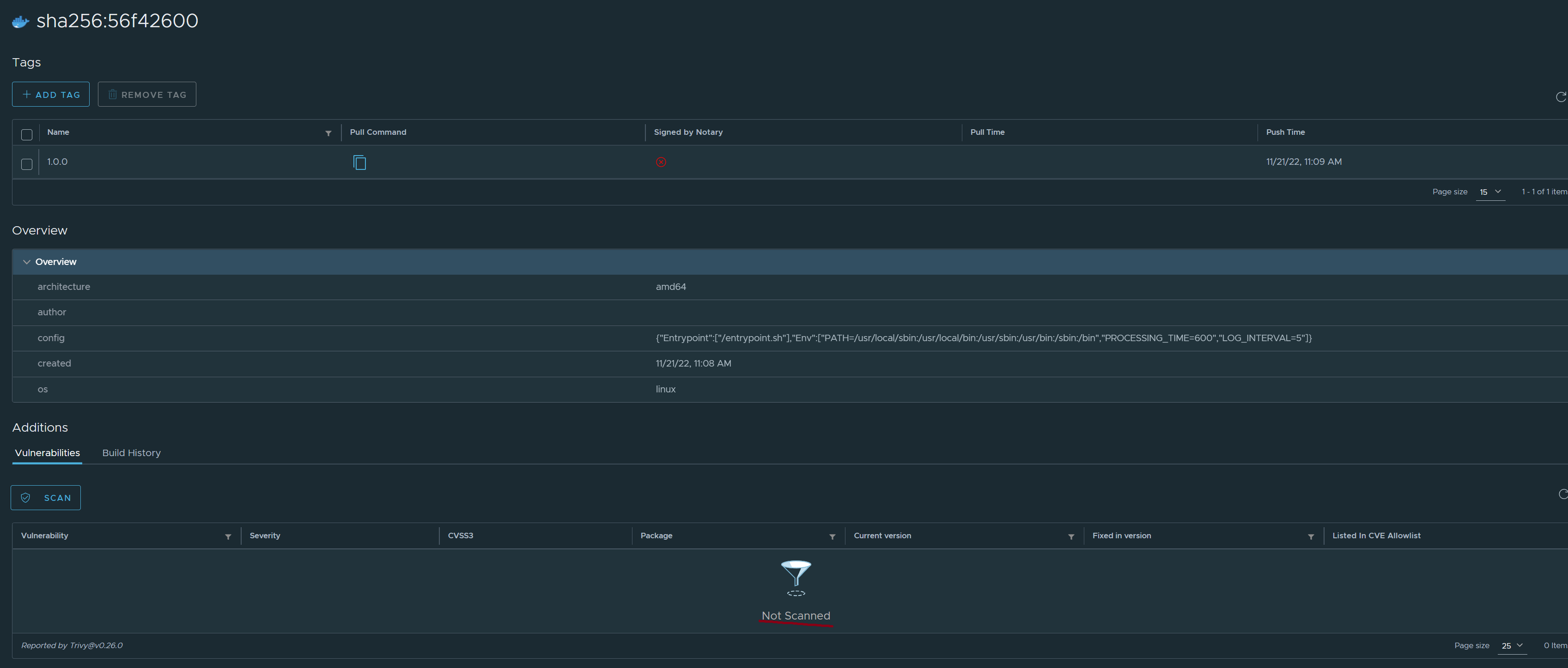 Not scanned is displayed in tag details if image was scanned and does ...