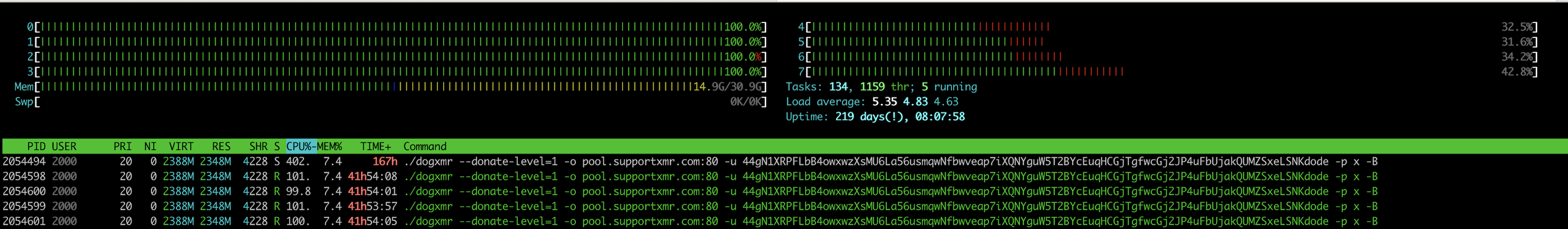 The Metabase Docker Container Was Maliciously Invaded By A Mining Process · Issue 33376