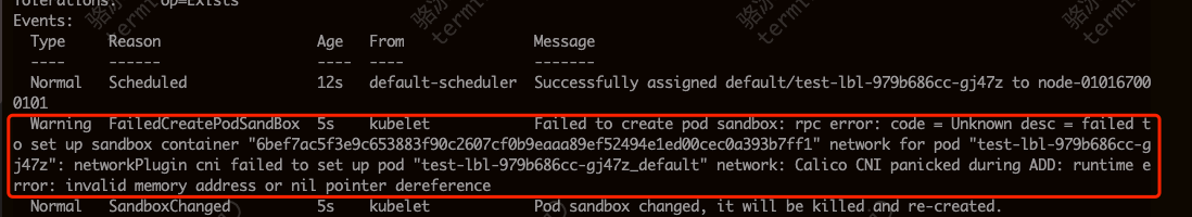 Calico Cni Panicked During Add Ip · Issue 5779 · Projectcalicocalico · Github 6789
