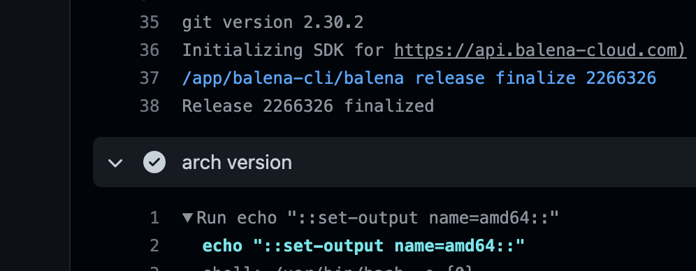 Version Output Empty On Finalise · Issue 193 · Balena Iodeploy To