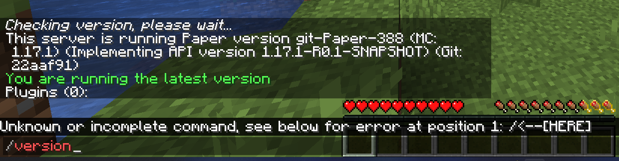 Command tab completion is temperamental in Java 17 · Issue #6936 · PaperMC/Paper · GitHub