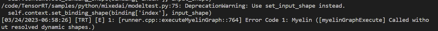 trtexec failed with "[optimizer.cpp::symbolicFormat::4909] Error Code 2: Internal Error ...