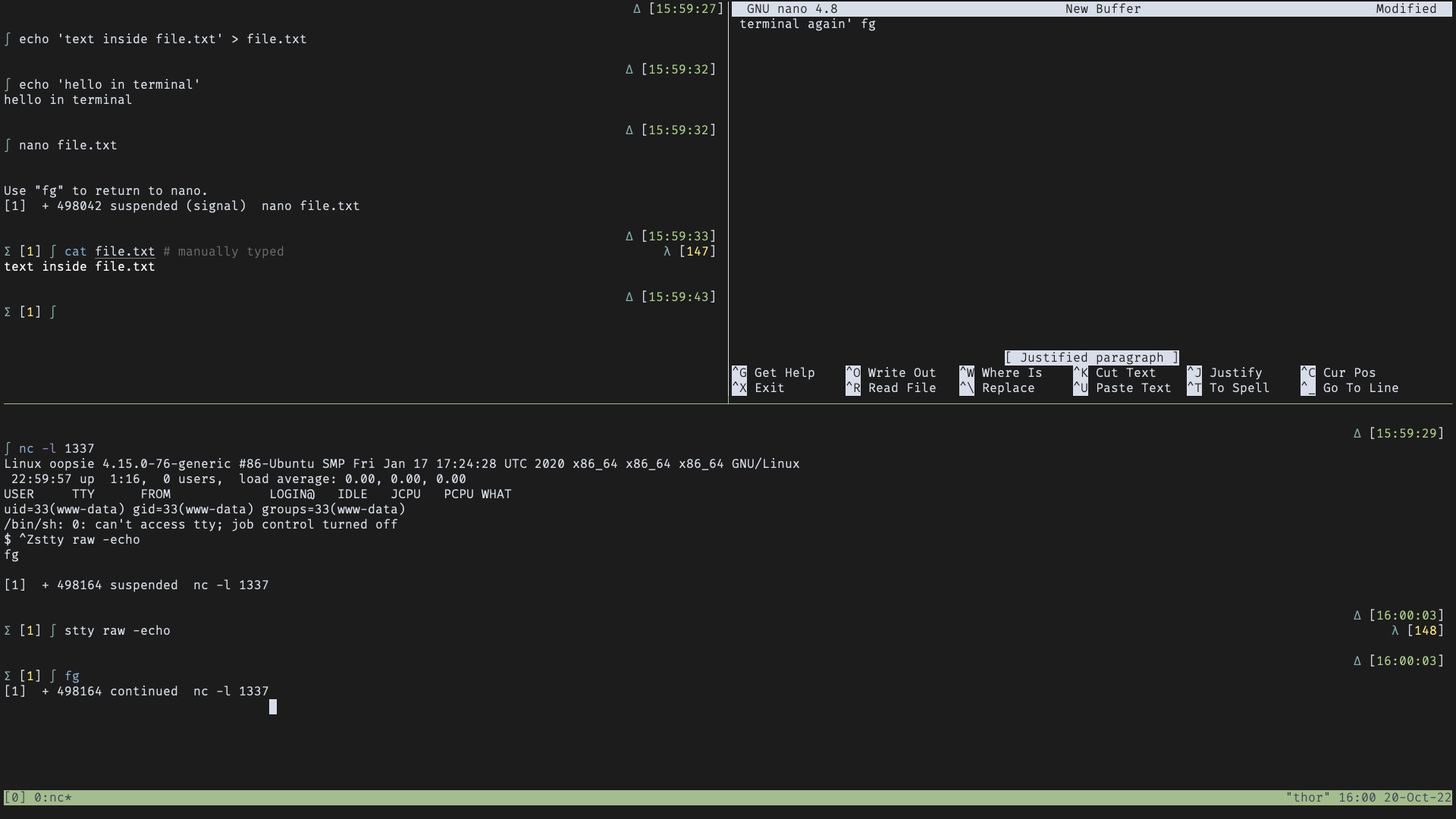 `send Keys` Ctrl Z Breaks Code Execution Inconsitently · Issue 3360 · Tmux Tmux · Github