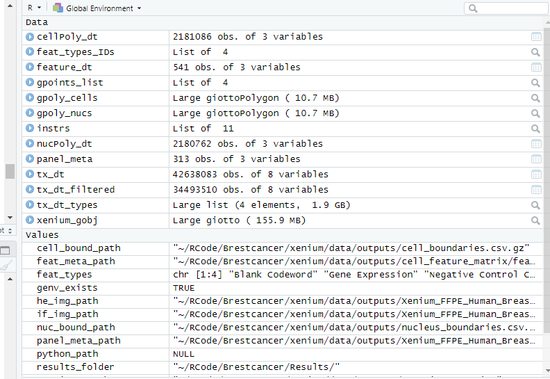 Request for assistance with Giotto Xenium data. · Issue #701 · drieslab/Giotto · GitHub