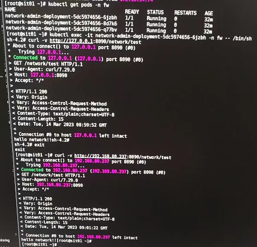 cannot access the url of the spring boot project using ingress nginx controller 0.45 · Issue ...