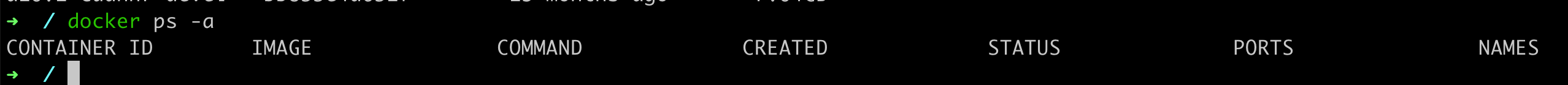 [CLI] Failed to start wandb/lcoal image · Issue #2883 · wandb/wandb · GitHub