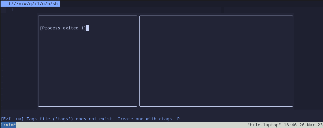 Support reading ctag file from tags option · Issue #700 · ibhagwan/fzf-lua · GitHub