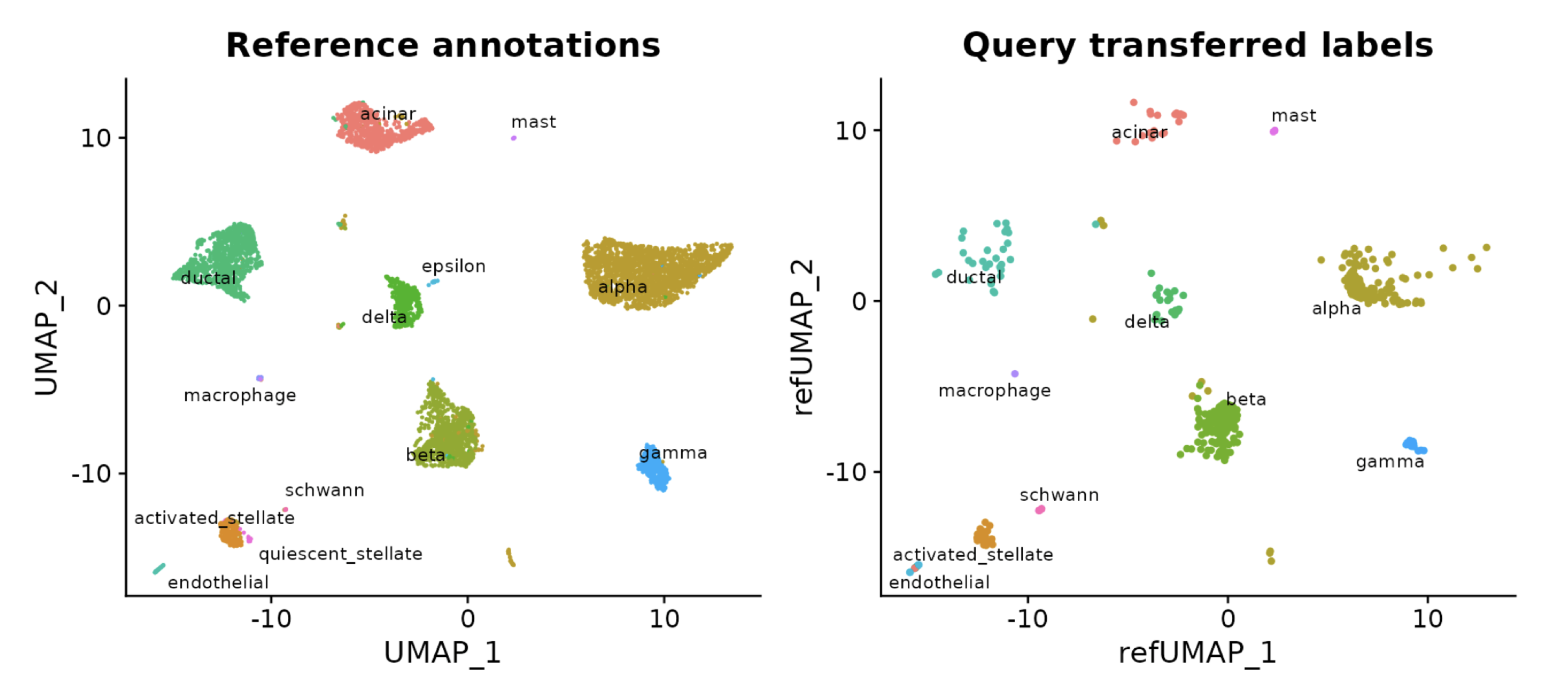 MapQuery: Cell type classification and UMAP projection of query Inconsistent with reference UMAP ...