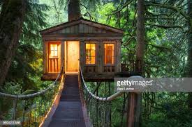 GitHub - ReineSundberg/Treehouse: Projects from my Treehouse Coursework