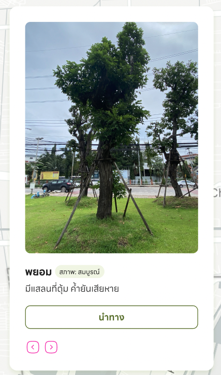 [Dev] Tree Detail Component · Issue #9 · BKK-WeSpace/tree-population · GitHub