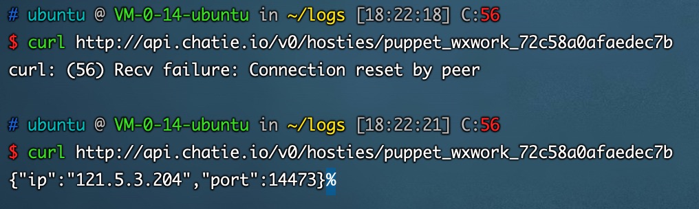 PuppetService discoverServiceIp() endpoint