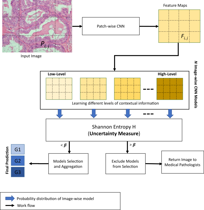 GitHub - zakariaSenousy/3E-Net-Model: 3E-Net: Entropy-based Elastic ...