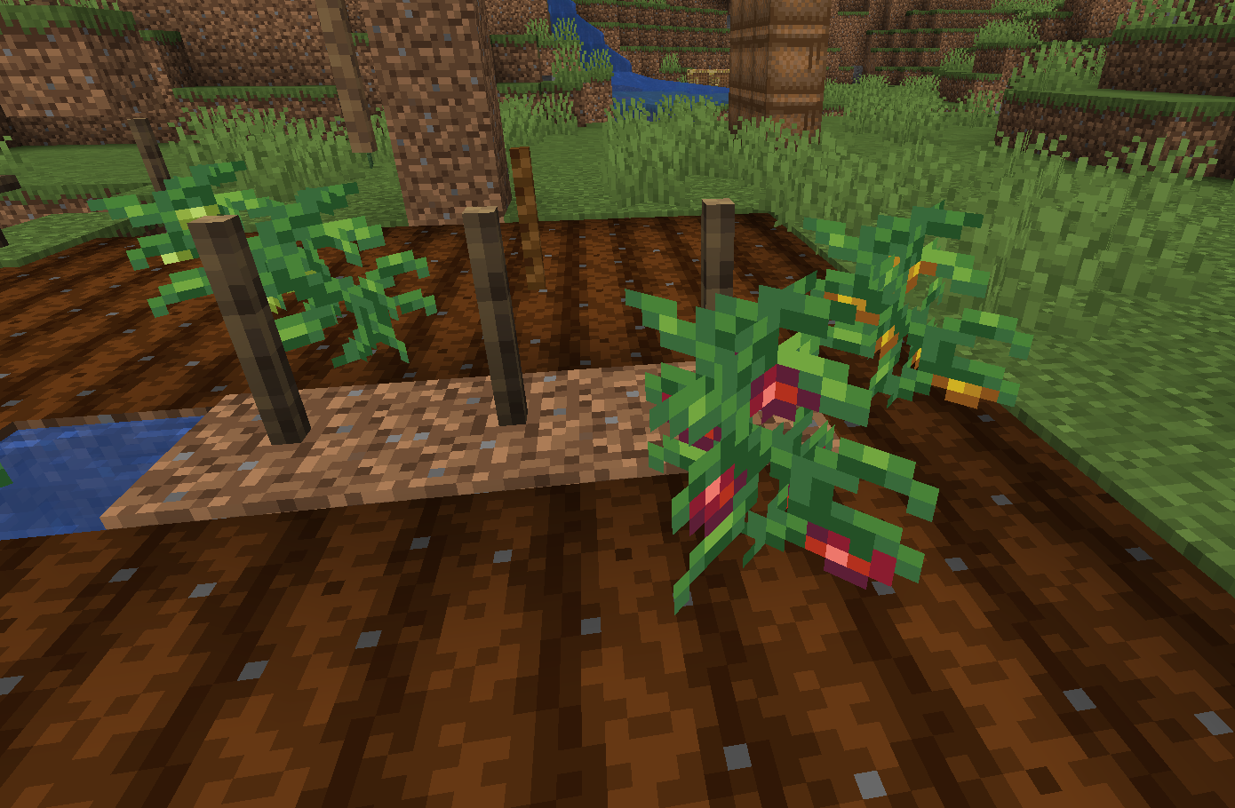 Farmer's Delight integration not working · Issue #720 · MehVahdJukaar ...