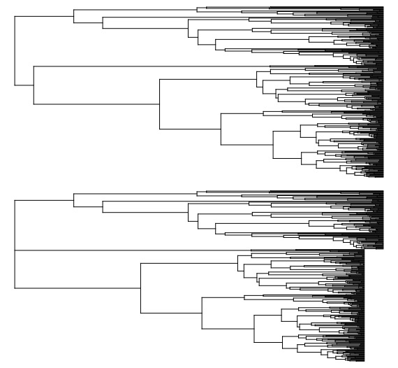RELAX problem with tree · Issue #1034 · veg/hyphy · GitHub