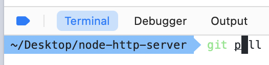 Terminal cursor ability to set transparency · Issue #482 · AuroraEditor ...