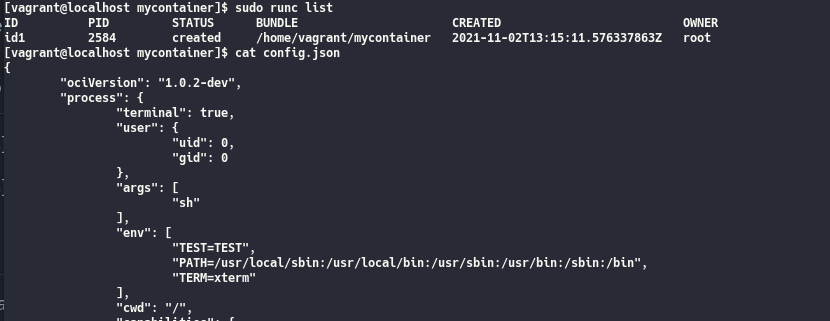 --env doesn't work when --process process.json is used · Issue #3241 · opencontainers/runc · GitHub