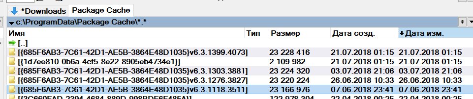 After update Adguard keeps files from previous versions in C:ProgramData\PackageCache · Issue ...