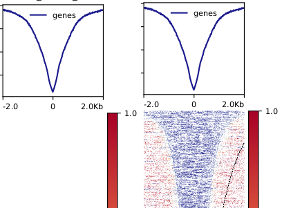 plotHeatmap and BS data · Issue #777 · deeptools/deepTools · GitHub