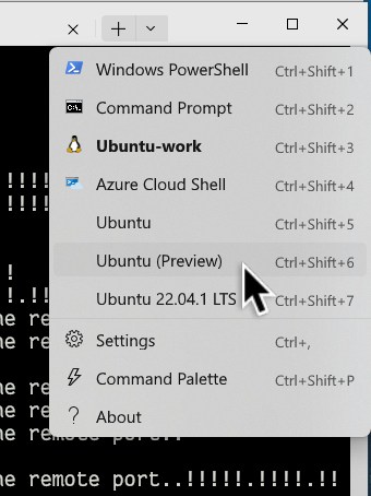 Ctrl-Shift-6 opens a new terminal tab. Instead, I expected this key combination to be sent to ...