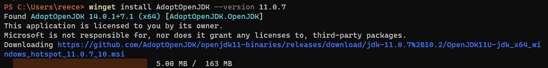 Installing different package version displays latest version number ...