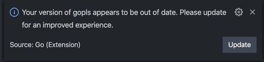 Vscode Always Hint Gopls Is Out Of Date After Go Get Gopls · Issue