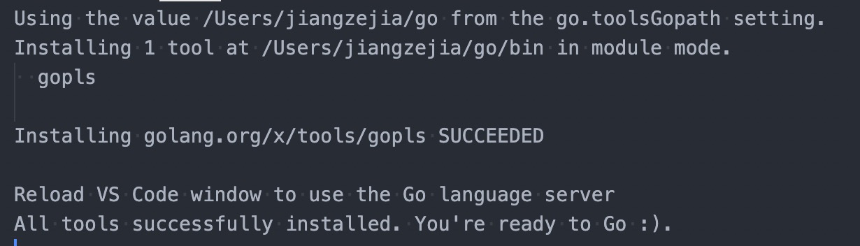 Vscode Always Hint Gopls Is Out Of Date After Go Get Gopls · Issue