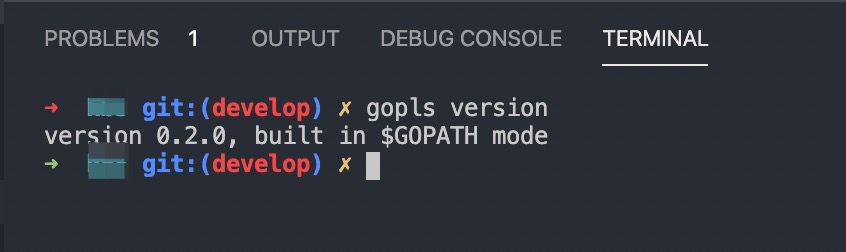 Vscode Always Hint Gopls Is Out Of Date After Go Get Gopls · Issue 2927 · Microsoftvscode Go