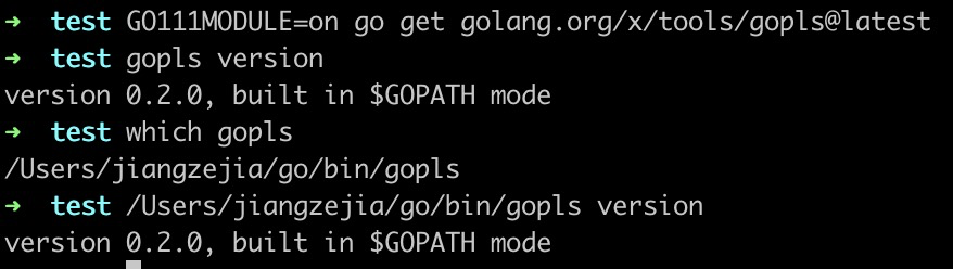 Vscode Always Hint Gopls Is Out Of Date After Go Get Gopls · Issue 2927 · Microsoftvscode Go