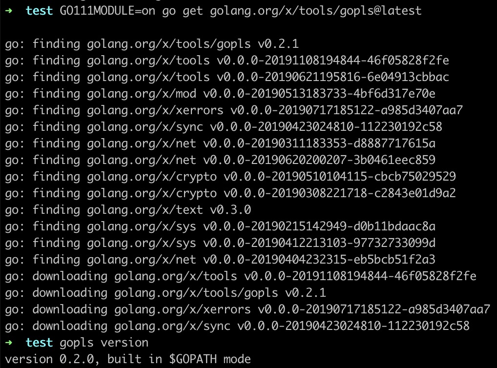 vscode always hint "gopls is out of date" after go get gopls · Issue #2927 · microsoft/vscode-go ...