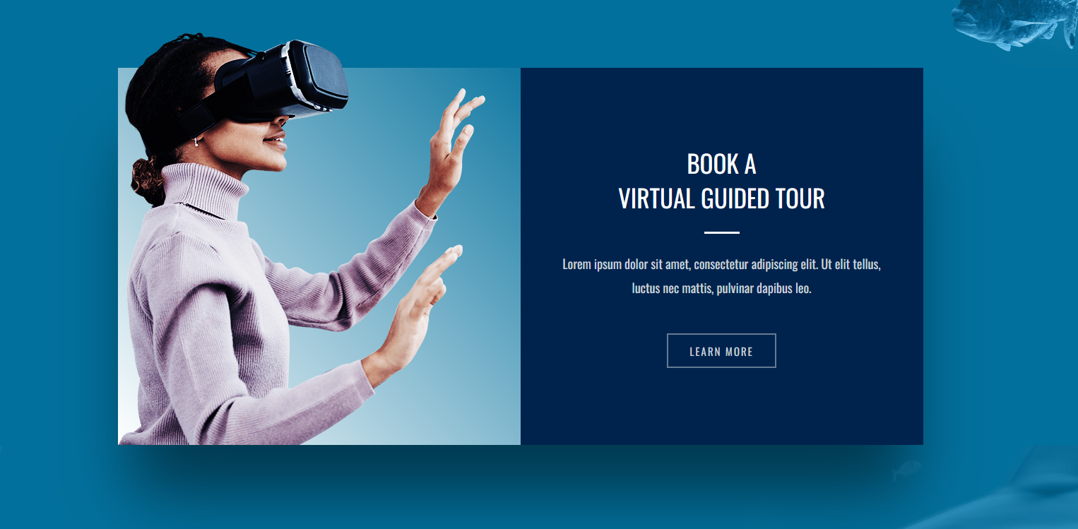 GitHub - nikhilxifer/aquarium